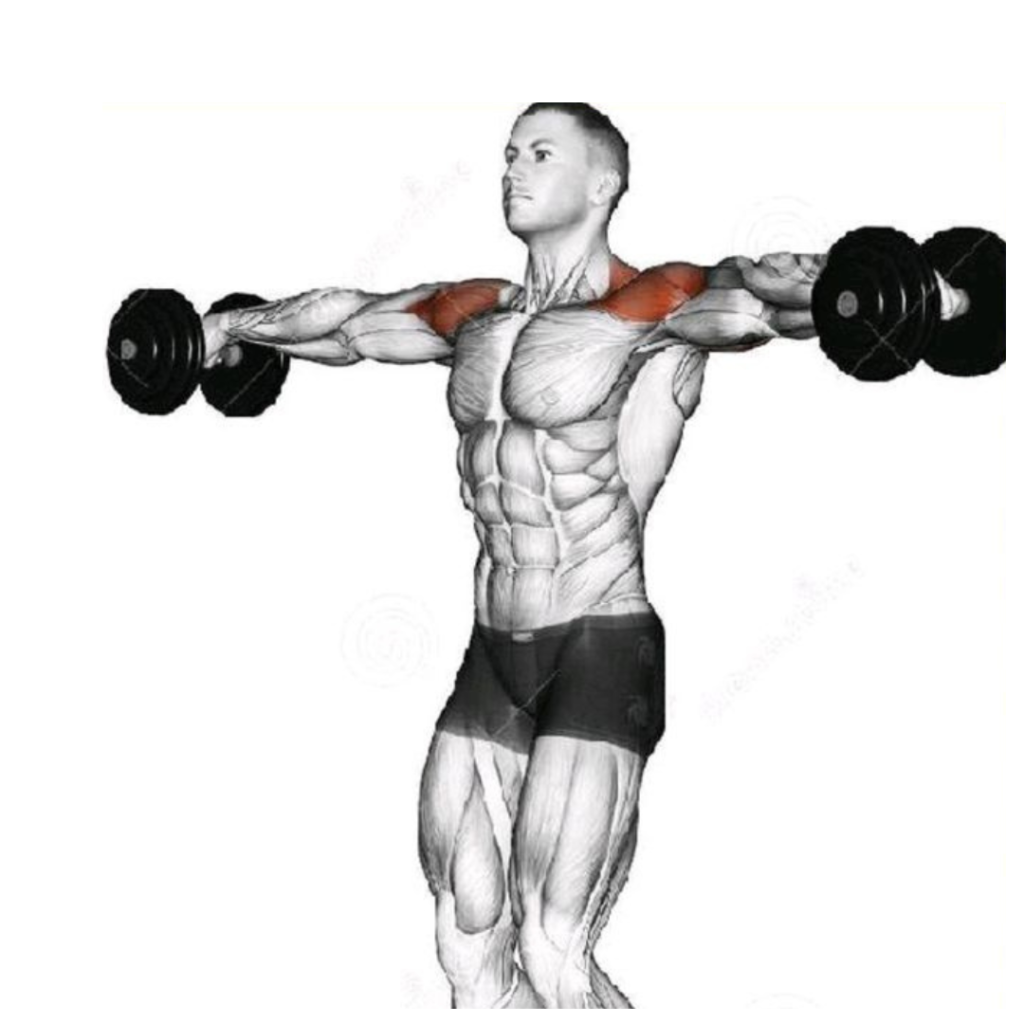 8 Unique Shoulder Press Exercises for More Powerful Delts